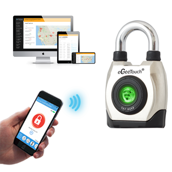 Digi-Pas Group Companies